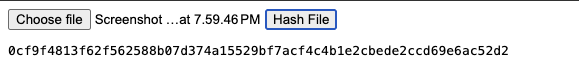 From 1GB File to a 64-Character Hash: Magic or Math? – NerdDevs | The ...